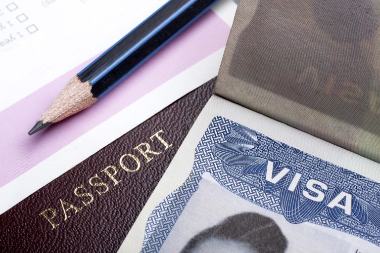 Form DS-234 Special Immigrant Visa Biodata Form | Free Evaluation